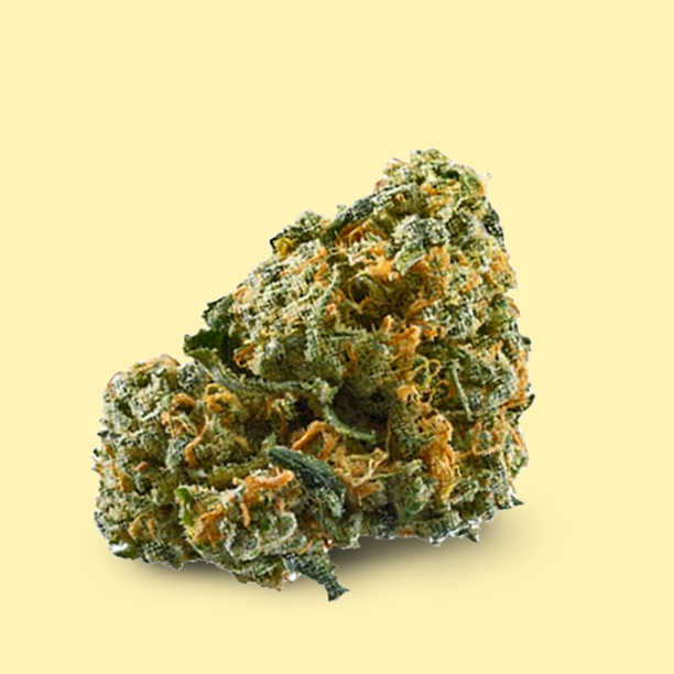 Oh La La Hybrid Kingkongdispensary